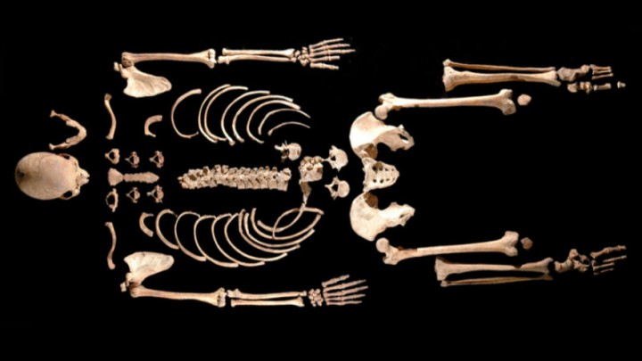 Kratka zanimljivost: Izoliran najstariji ljudski genom – Os Uma